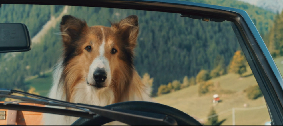 'Lassie 2: Nova pustolovina': Najpoznatiji pas na svijetu vraća se u kina ovog siječnja - kinofilm
